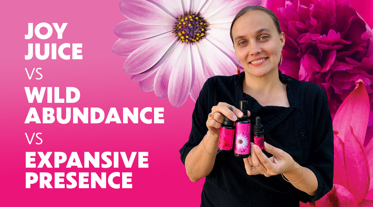 What's the difference between Joy Juice, Wild Abundance and Expansive ...