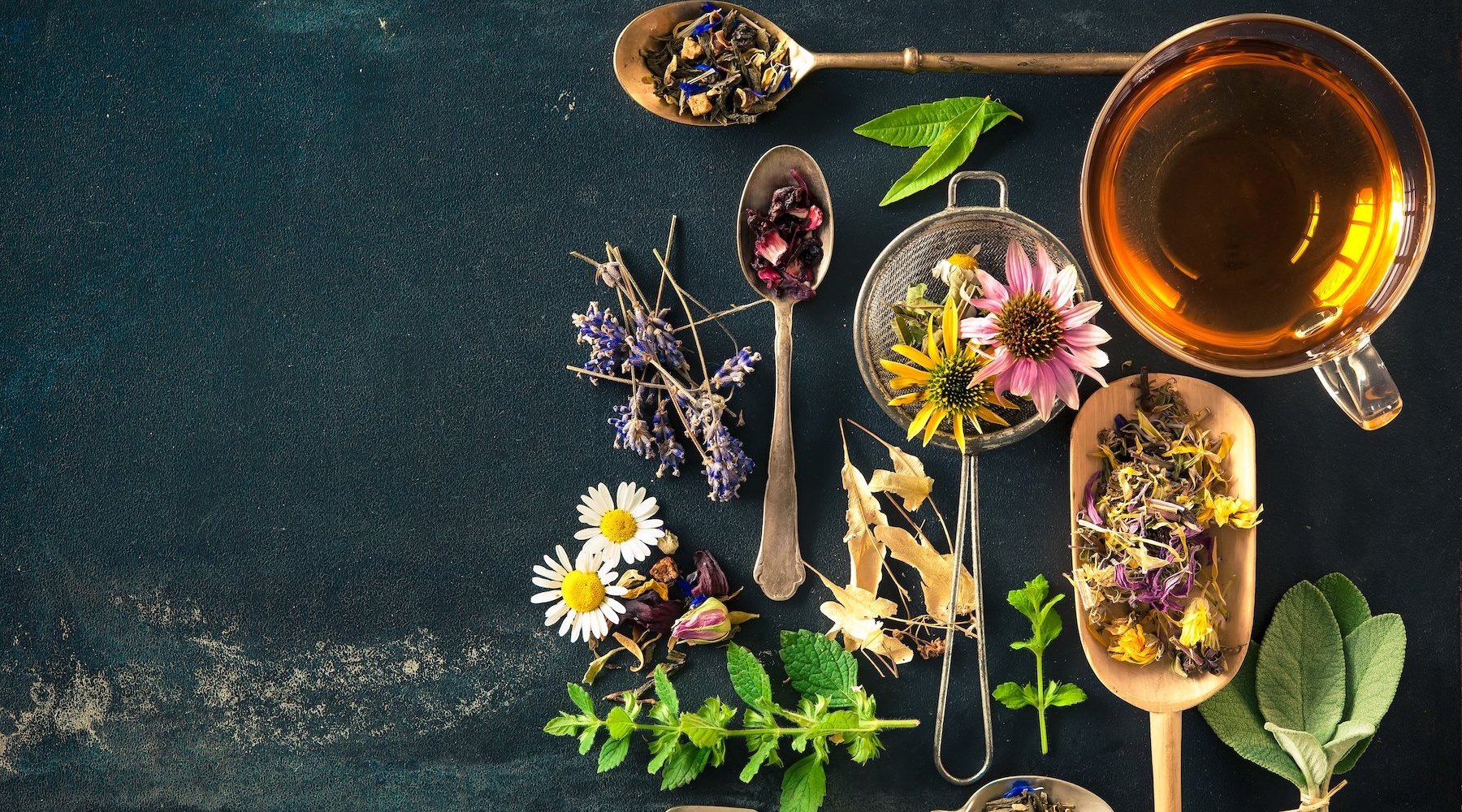 HOW TO BOOST YOUR IMMUNE SYSTEM