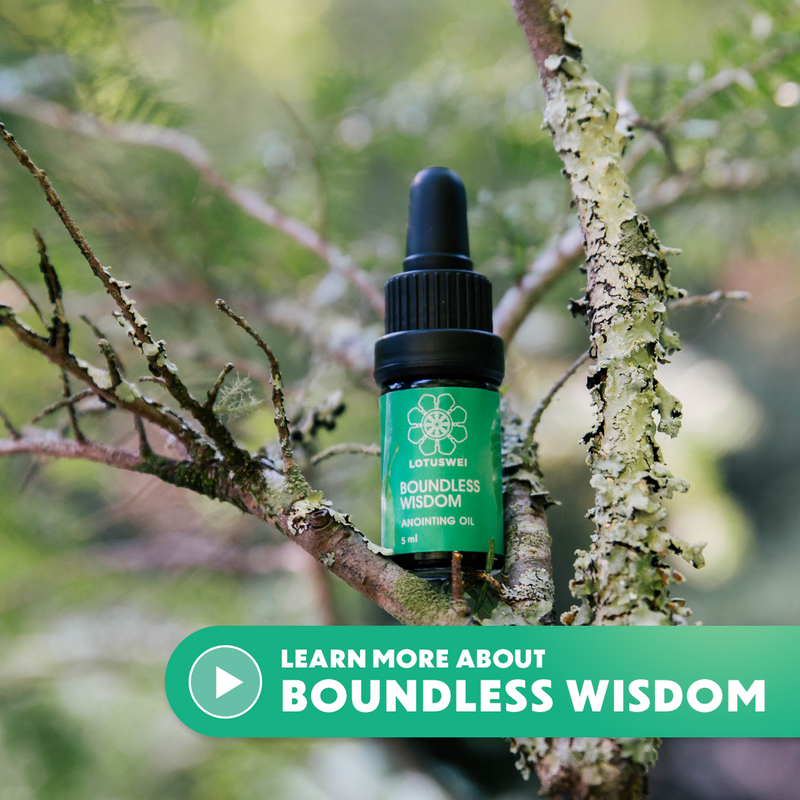 Boundless Wisdom Collection - Insight & Clarity