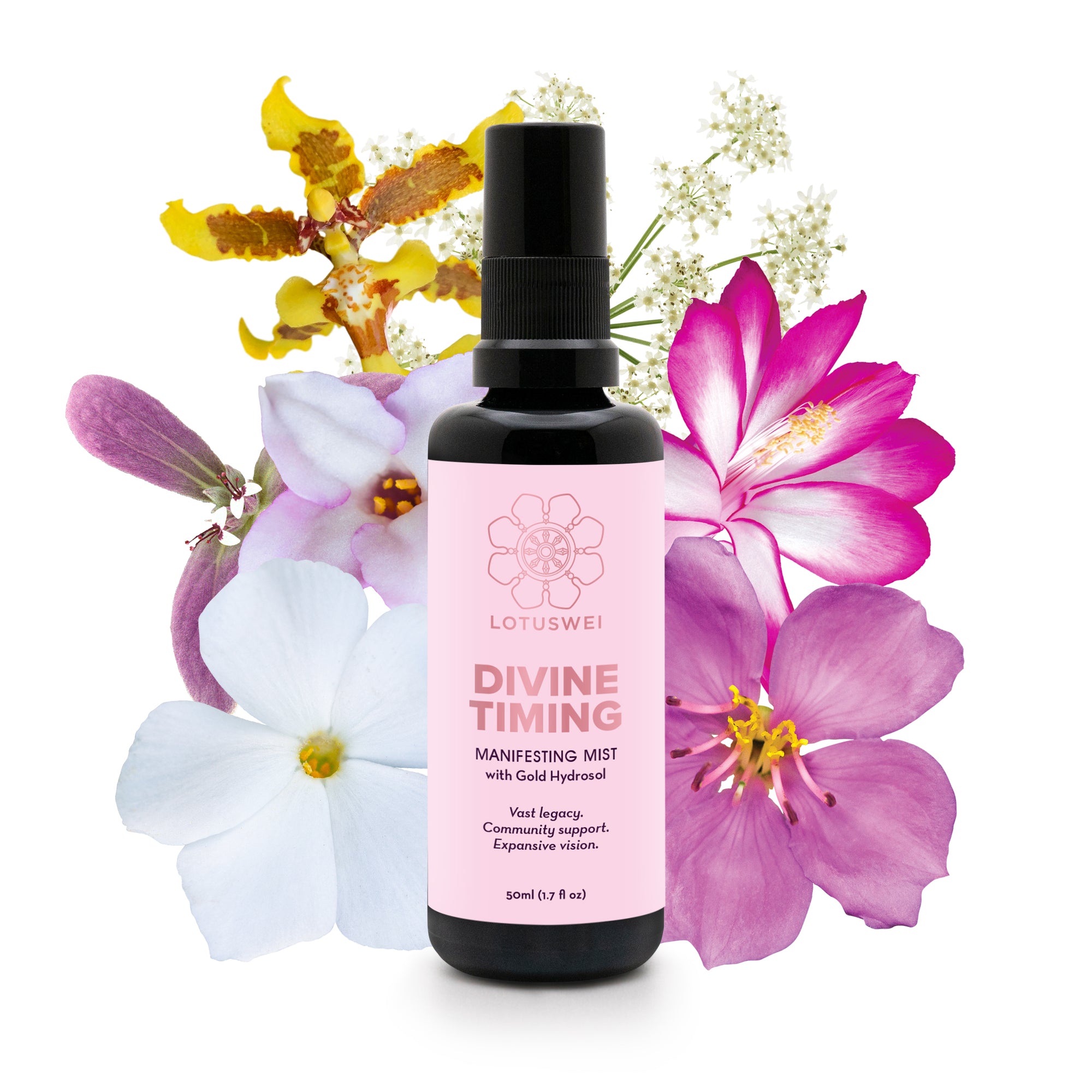 Flower Essence for Support - Divine Timing