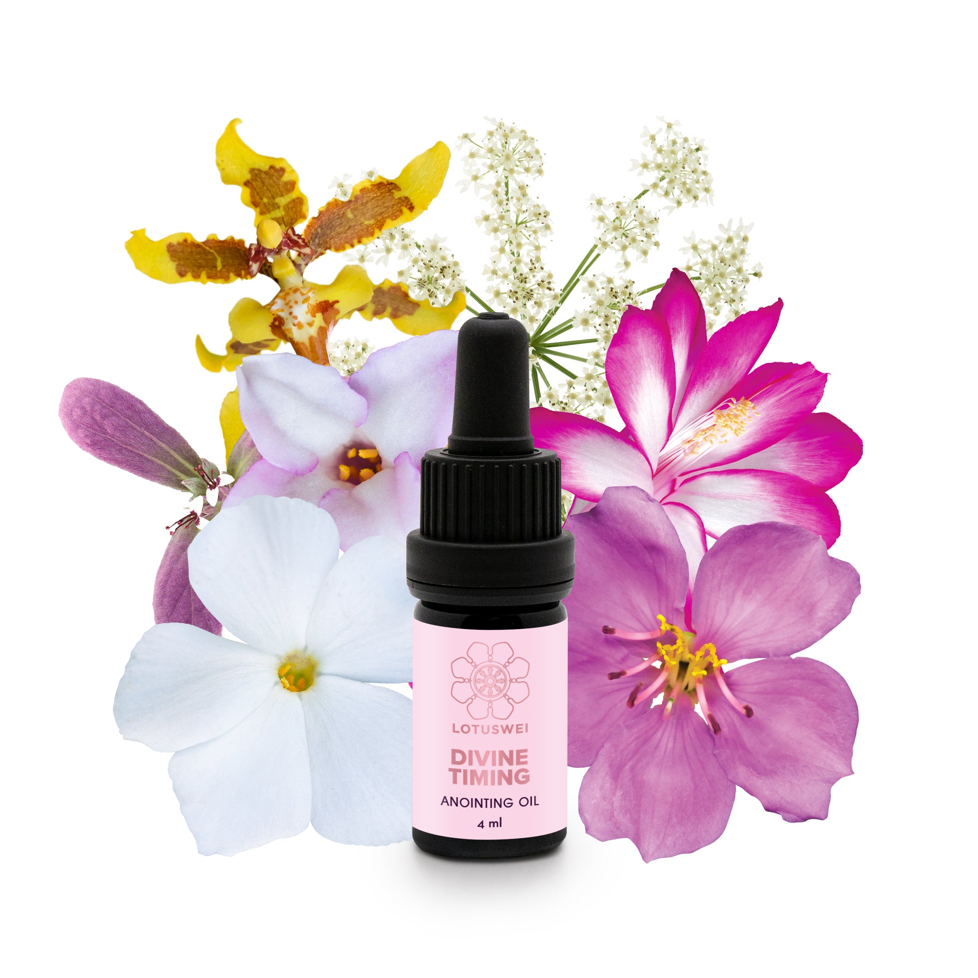 Flower Essence for Support - Divine Timing