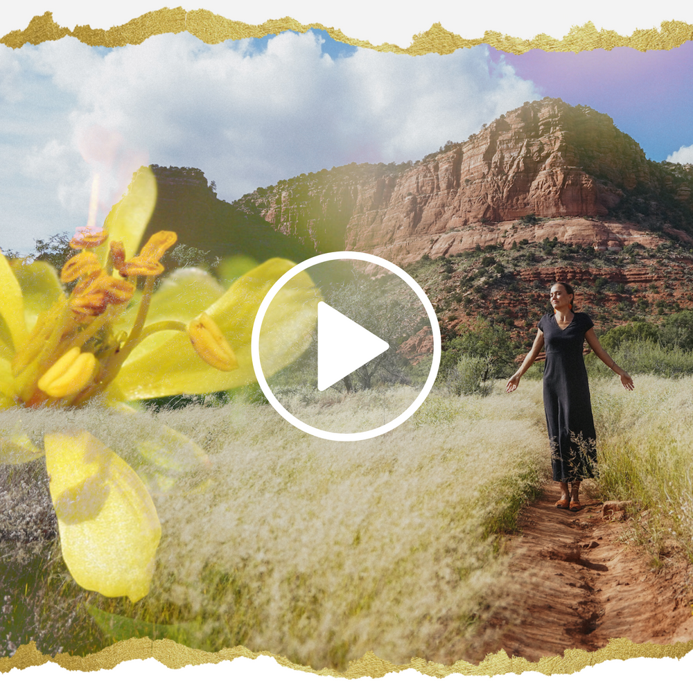 DIVINE TRUTH TREASURES