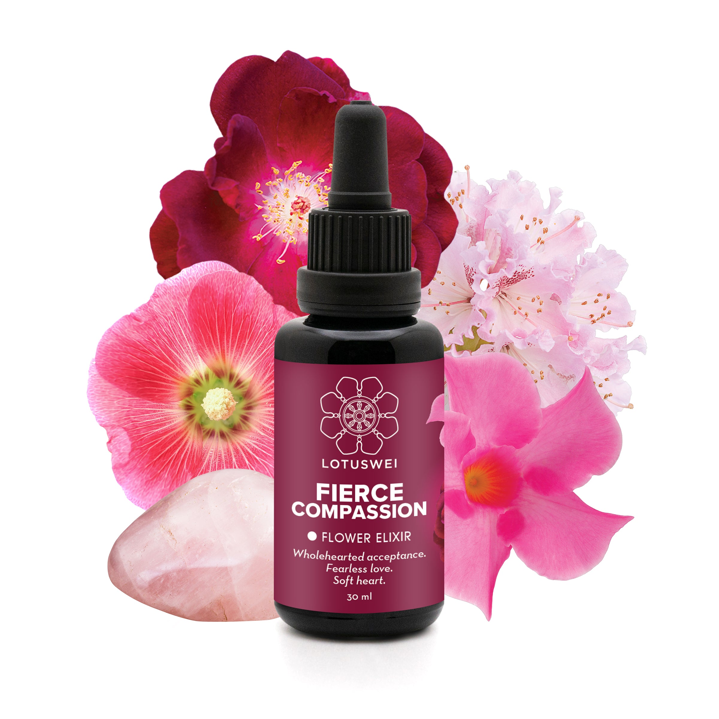 Fierce Compassion Collection - Empower & Connect – LOTUSWEI