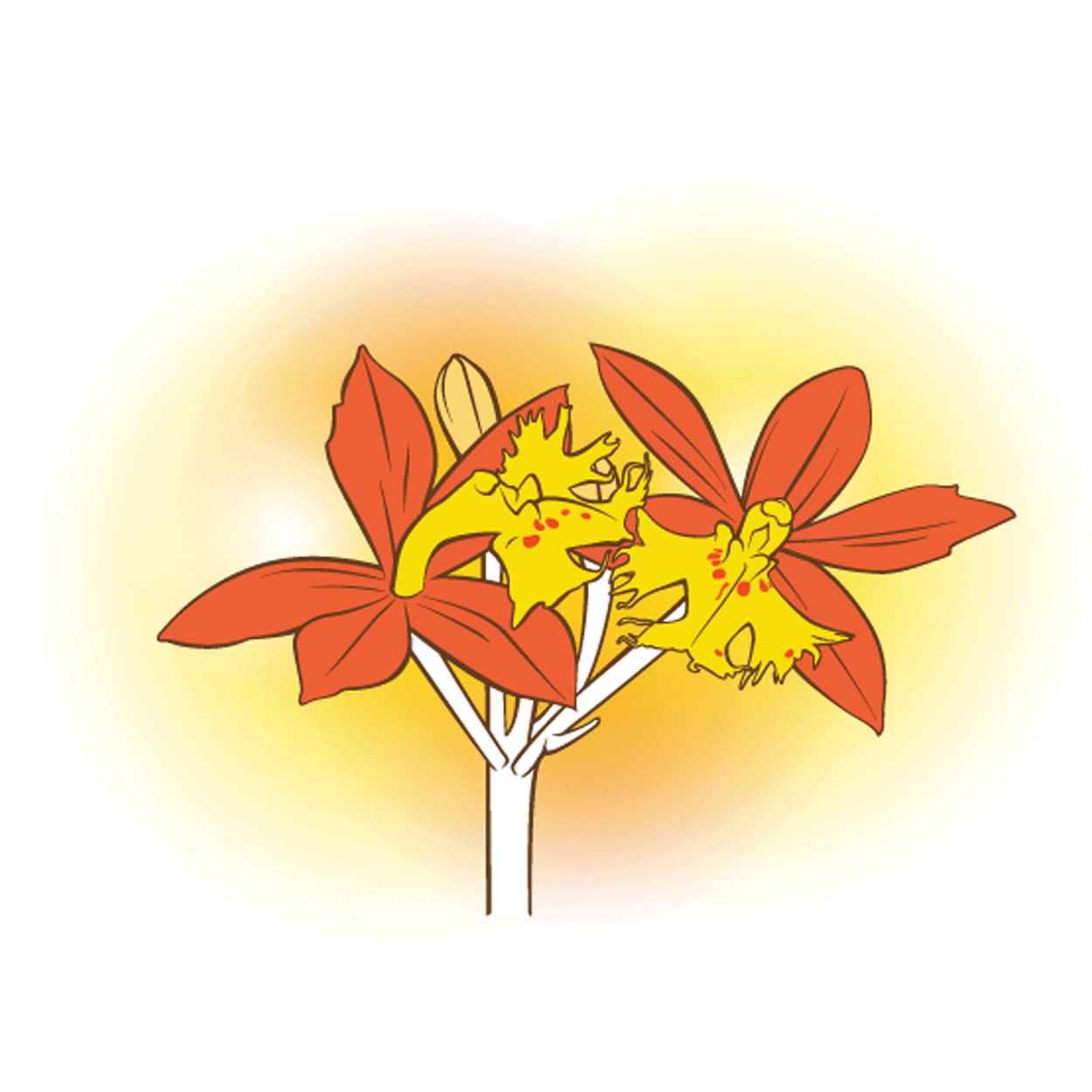 New to Flower Essences? Start here. – LOTUSWEI