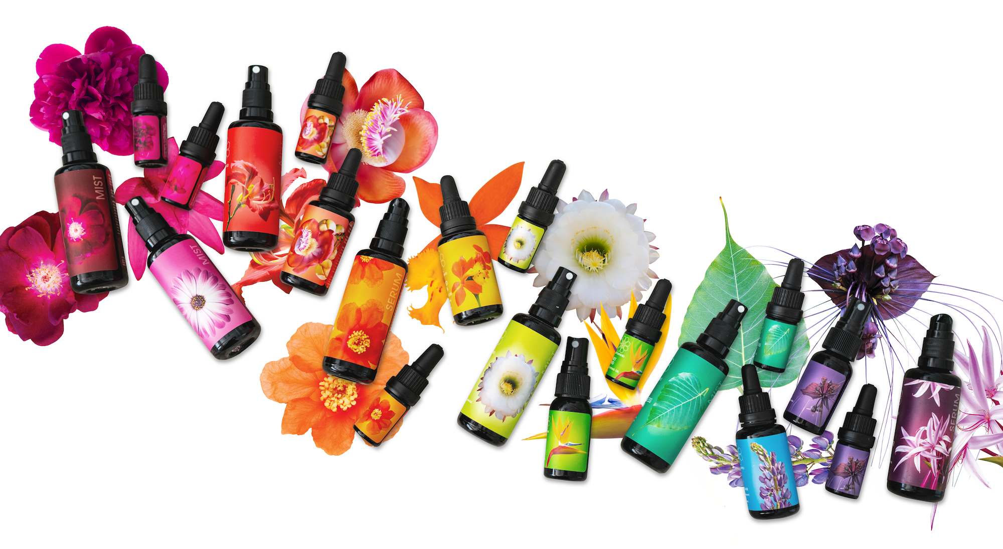 New to Flower Essences? Start here.