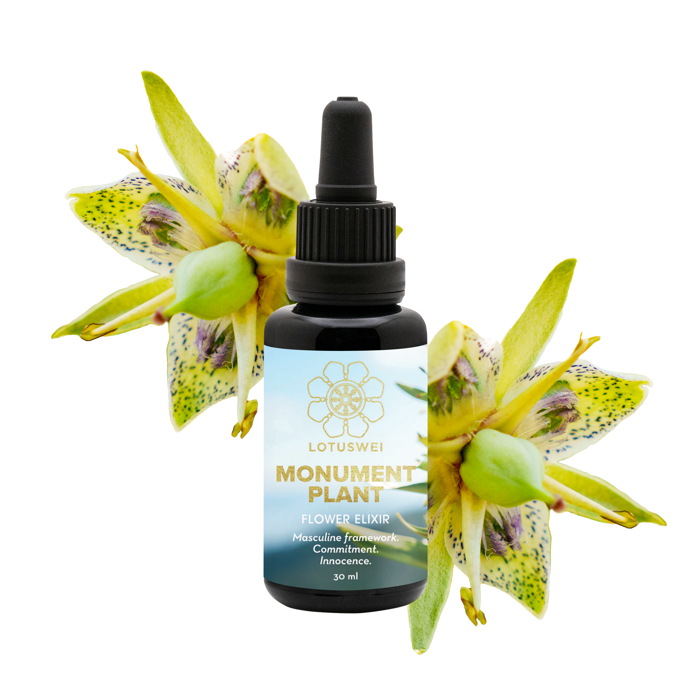 Monument Plant Flower Elixir – LOTUSWEI