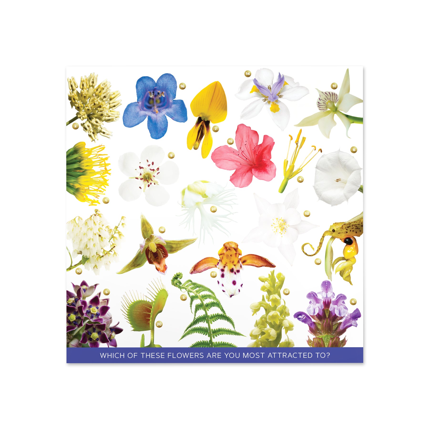 Pick a Flower Card for the Sacred Series