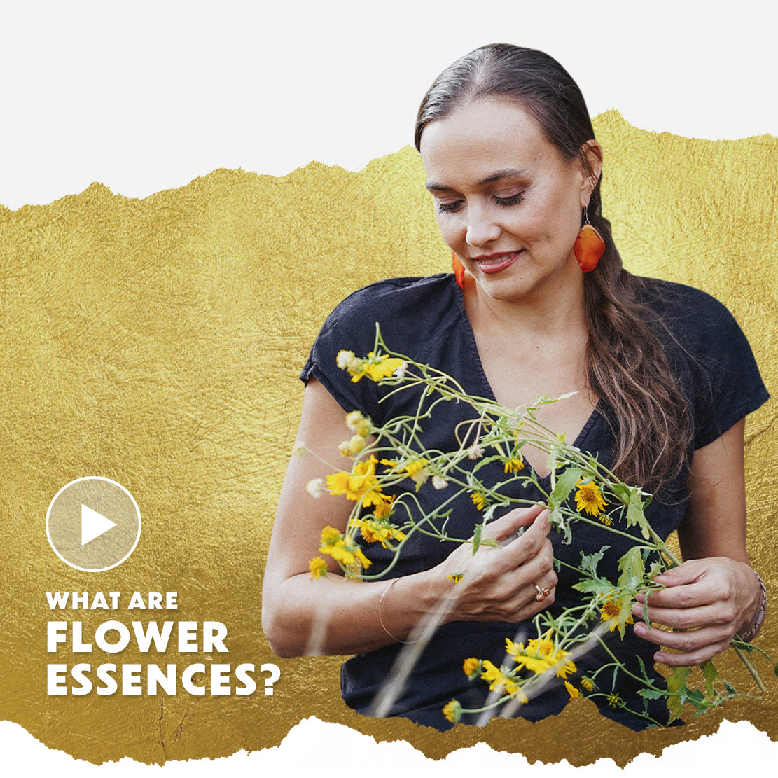 New to Flower Essences? Start here.