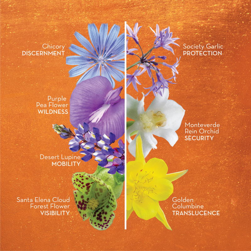 Flower Essence for Perception - Awakened