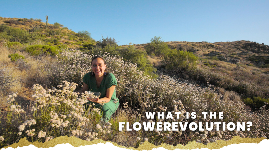 FLOWEREVOLUTION | Flower Essence Education – LOTUSWEI
