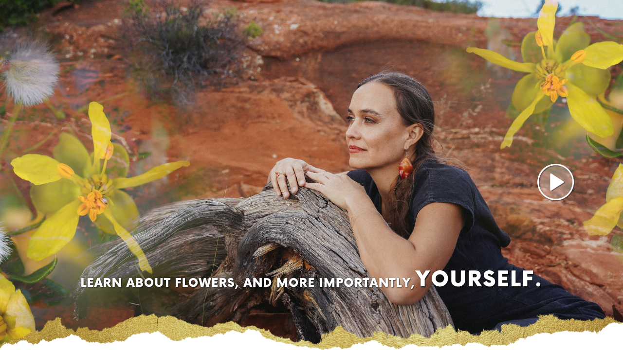 Flower Essences - LOTUSWEI