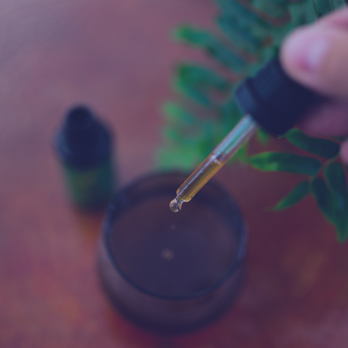 Radiant Energy Flower Essence Elixir | LOTUSWEI