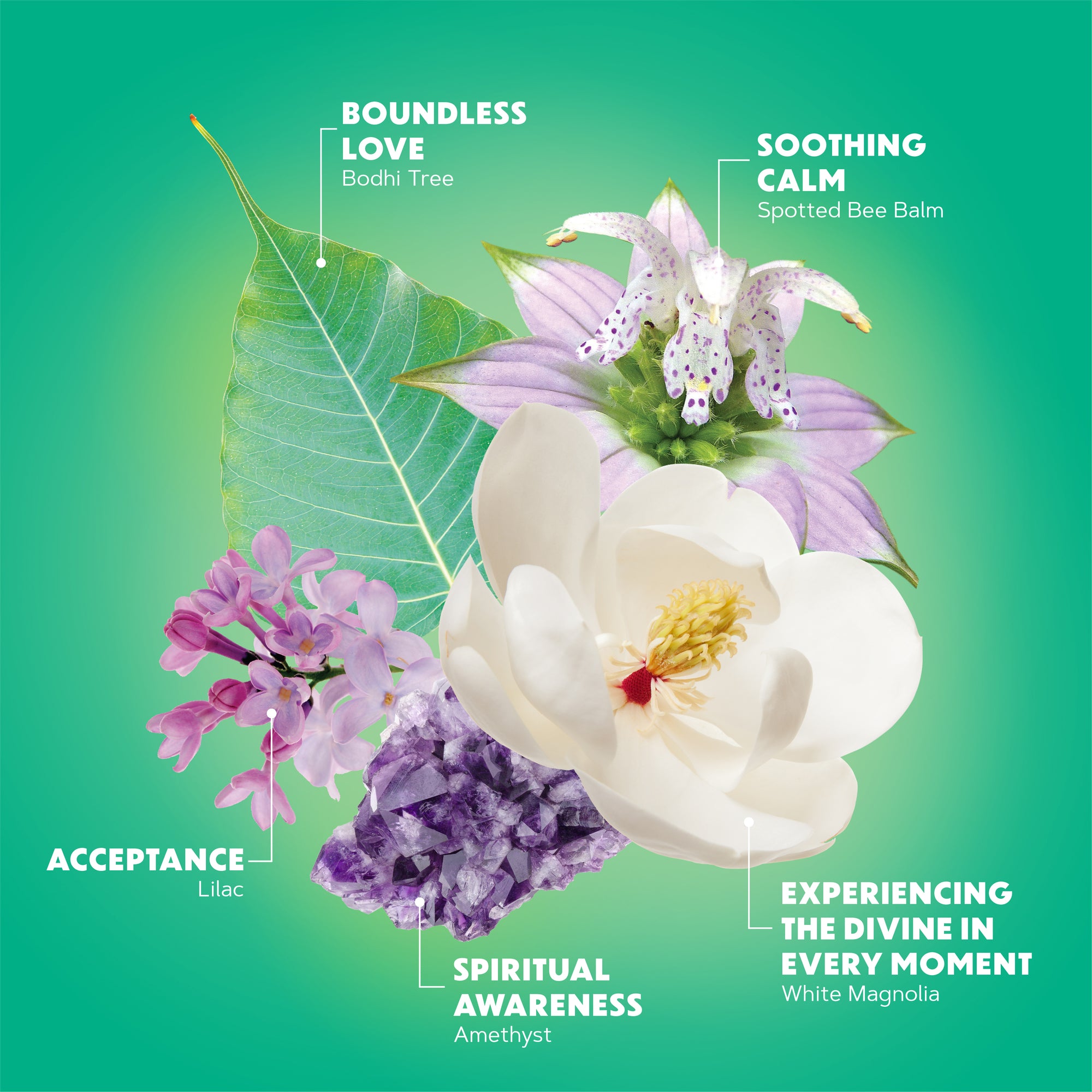 BOOM: 6 ON-THE-GO MISTS