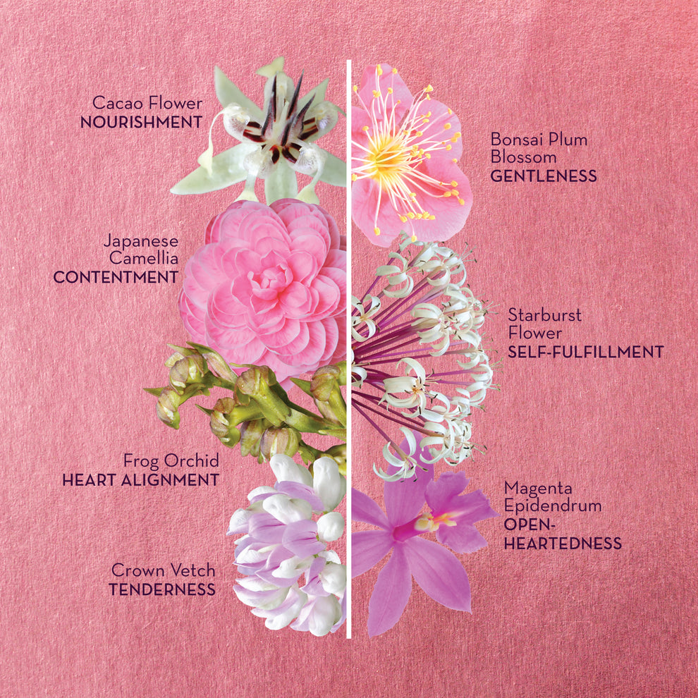 Flower Essence for Love: Divine Power Within – LOTUSWEI