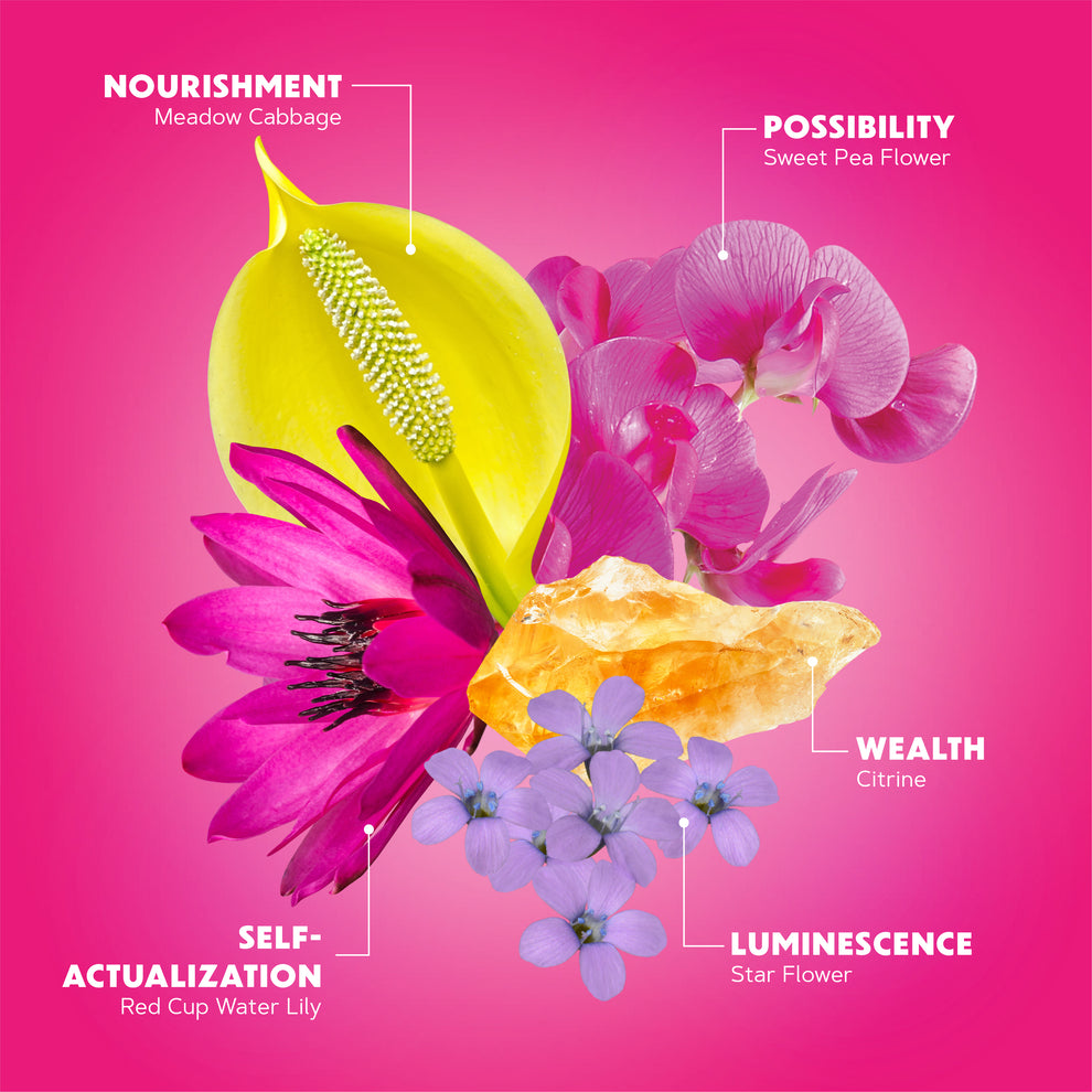 Expansive Presence Elixir | LOTUSWEI Flower Essences