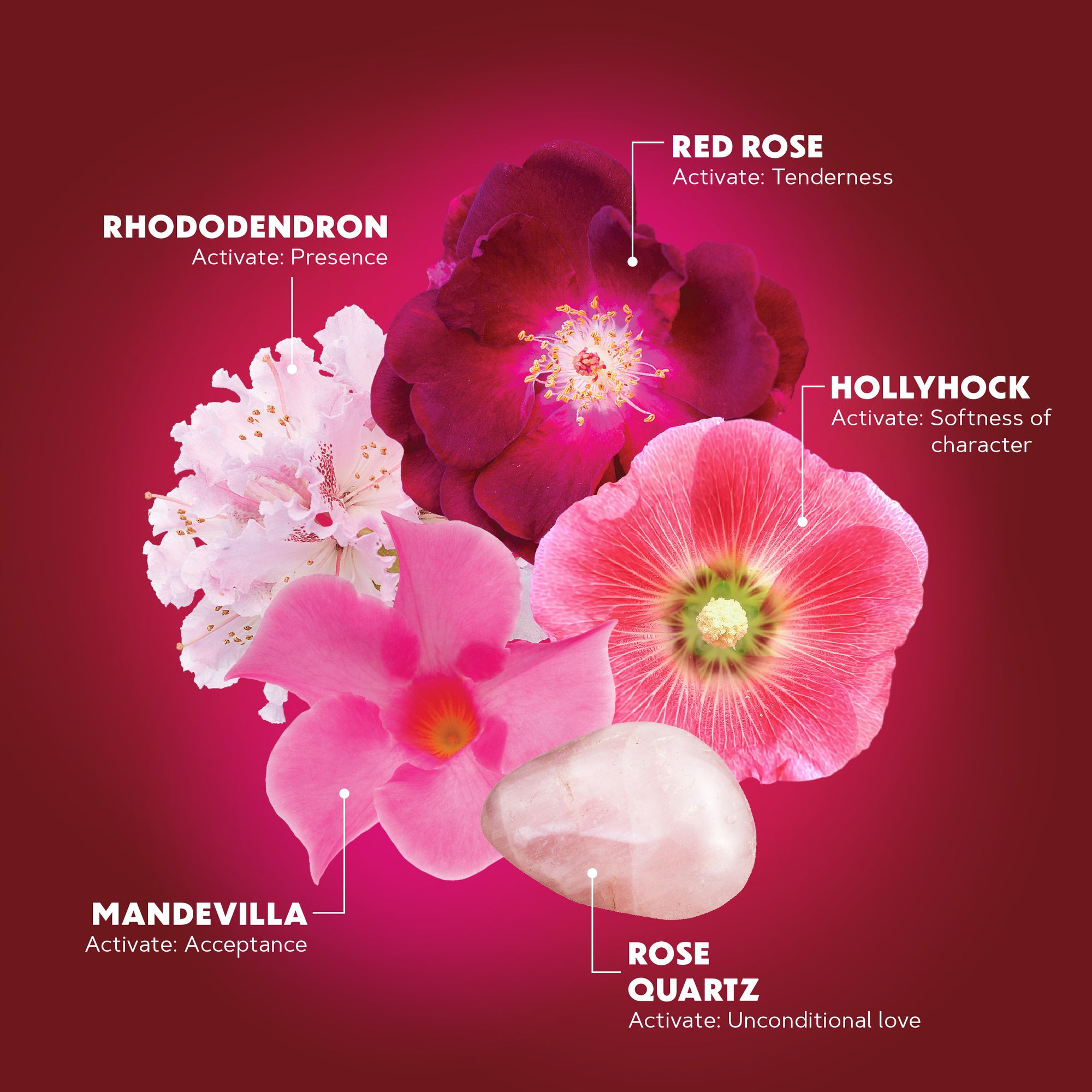 Fierce Compassion Flower Essence + Aromatherapy Mist | LOTUSWEI