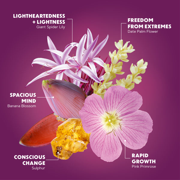 Gamechanger Flower Essence + Aromatherapy Mist | LOTUSWEI