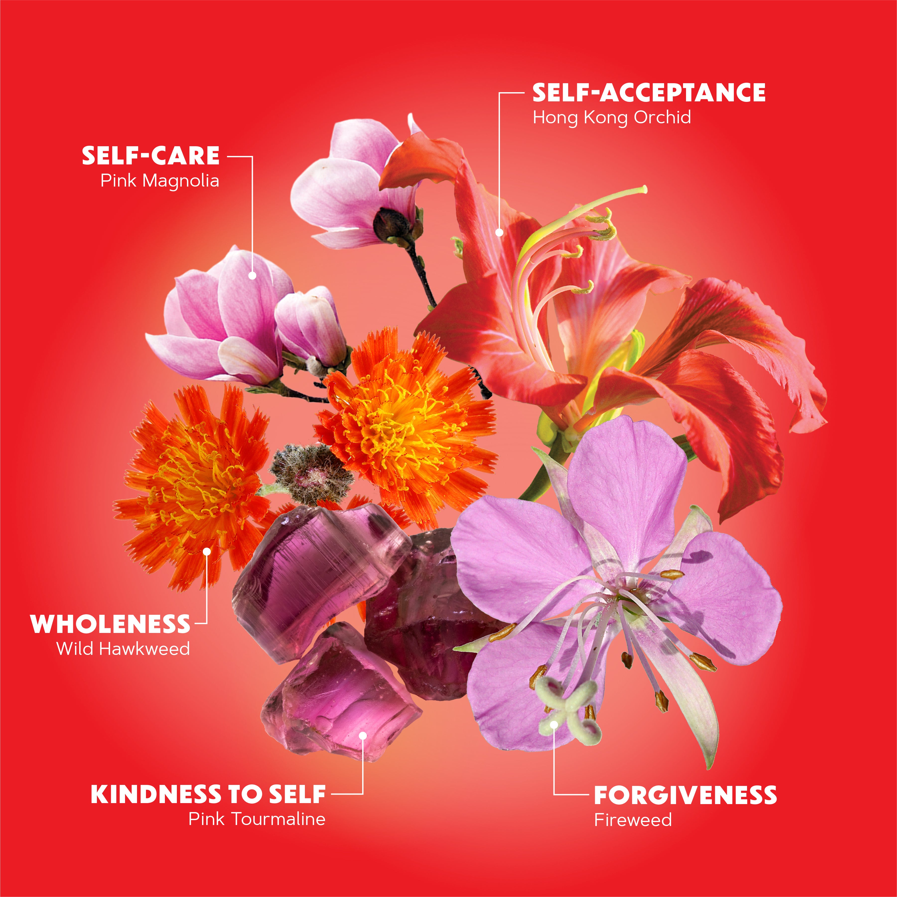 Stabilization Support Kit | LOTUSWEI Flower Essences