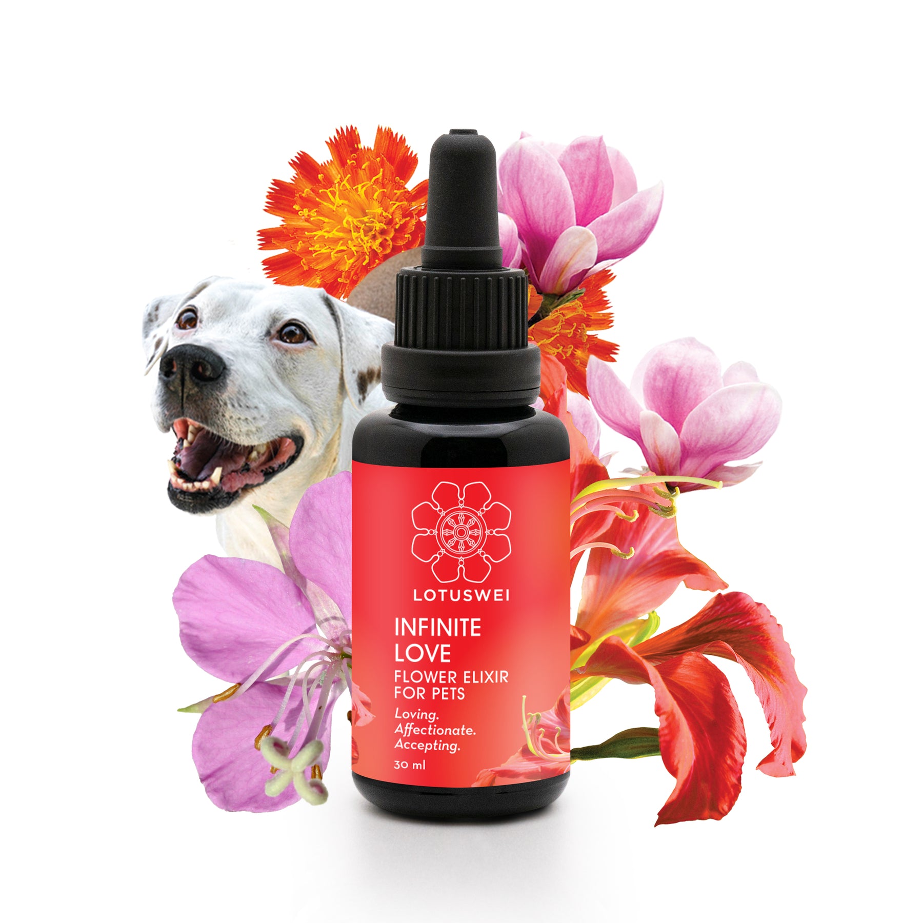 Flower Essences for Dogs, Cats, Horses & Other Animals