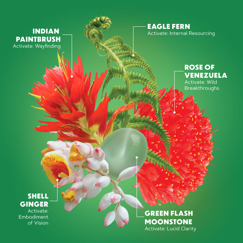 Inner Knowing Flower Essence + Aromatherapy Anointing Oil LOTUSWEI