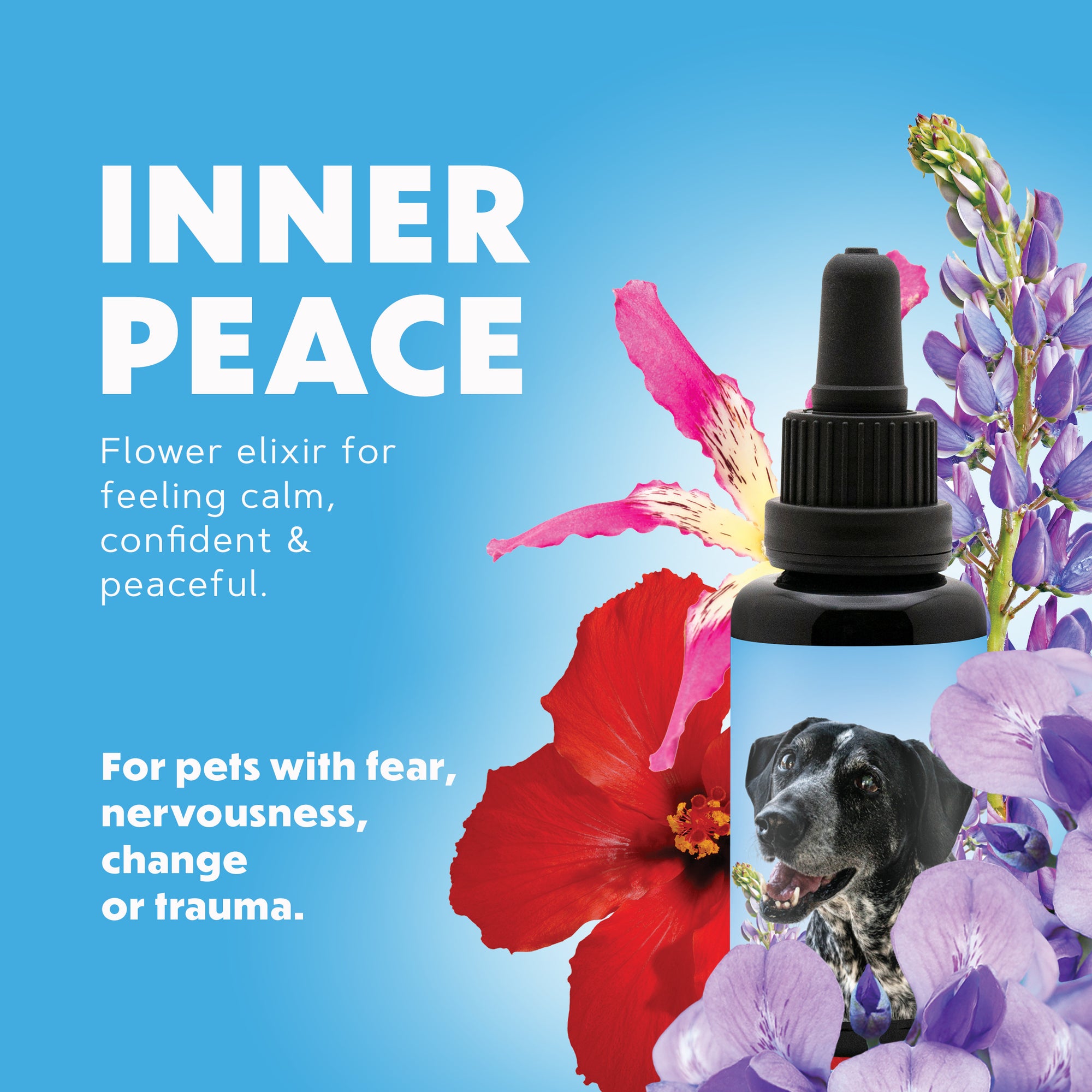 Inner Peace Pet Elixir