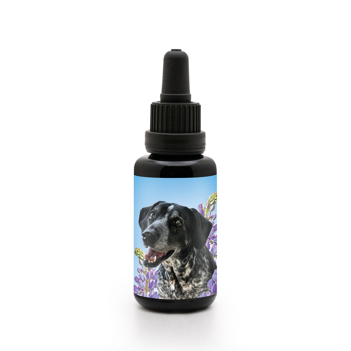 Inner Peace Pet Elixir: Calm Drops for Pets – LOTUSWEI