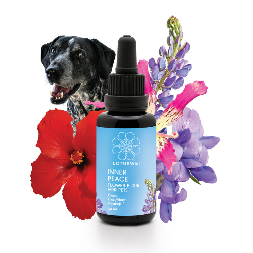 Inner Peace Pet Elixir: Calm Drops for Pets – LOTUSWEI