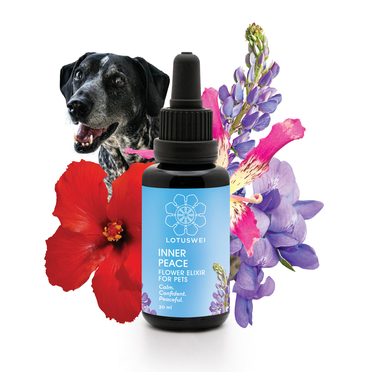 Flower Essences for Dogs, Cats, Horses & Other Animals