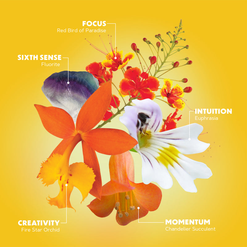 BOOM: 6 ON-THE-GO MISTS