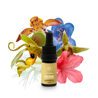 Sacred Awareness Flower Elixir: Clarity & Insight – LOTUSWEI