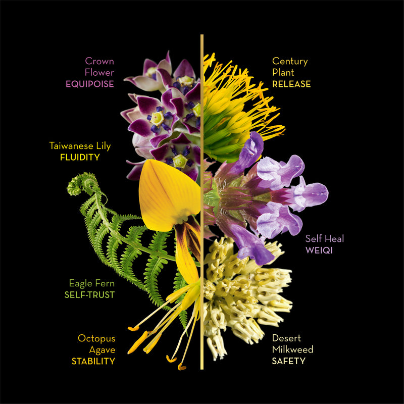 Sacred Body Flower Essence: Vitality Boost