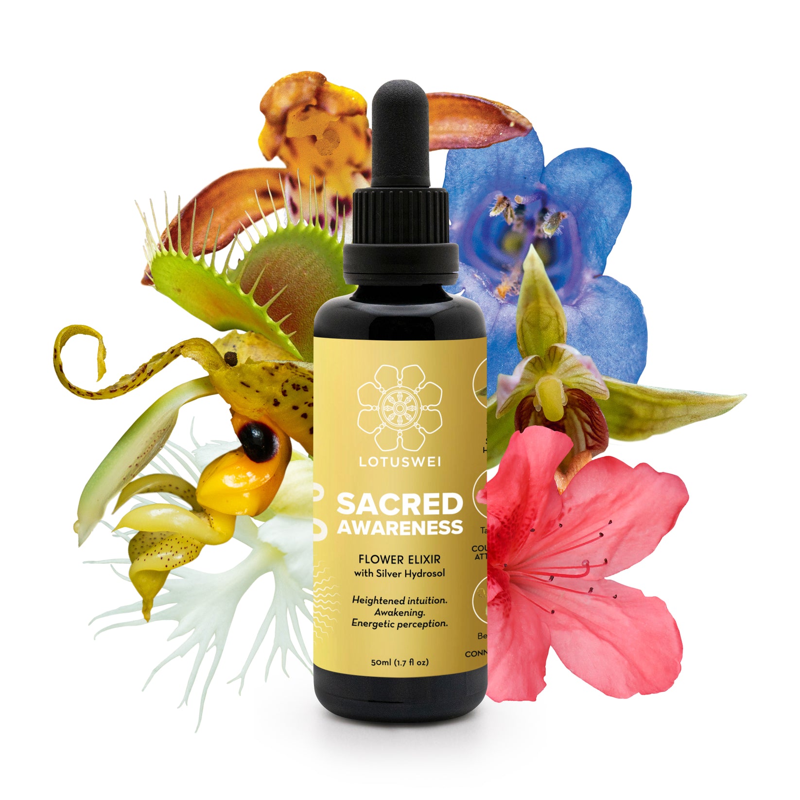 Sacred Awareness Flower Elixir: Clarity & Insight – LOTUSWEI